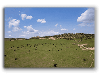 Nebraska Ranches for Sale | Clark & Associates Land Brokers LLC